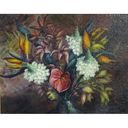 Brenda Fletcher, 20th century, Oil on board, A still life study with ...