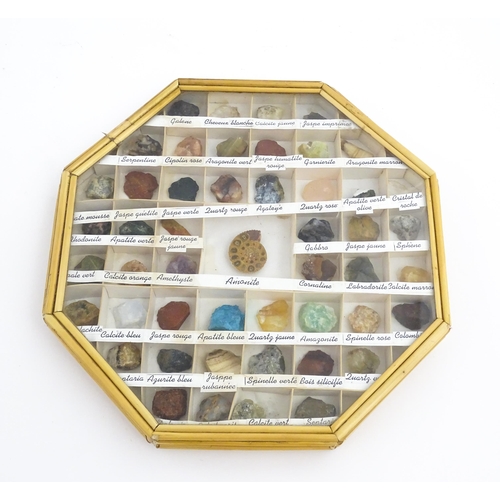 Natural History / Geology Interest: An octagonal shadow box containing ...