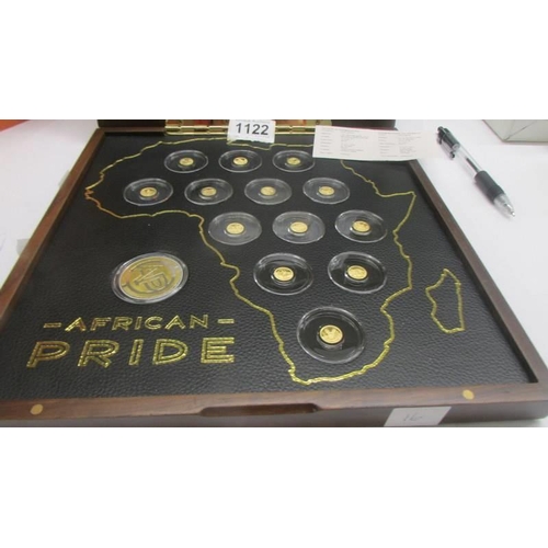 A cased set of 14 'African Pride 13 Nation' gold proof coins.