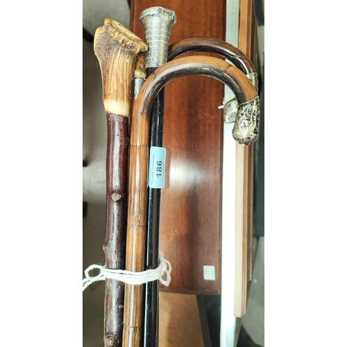 Three silver mounted walking sticks & two antler handle walking sticks.
