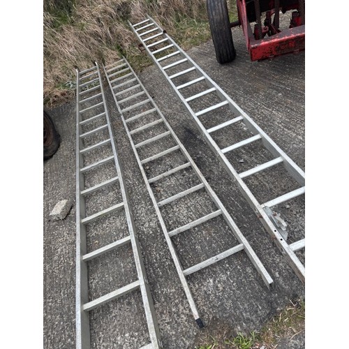 A Single Ladder