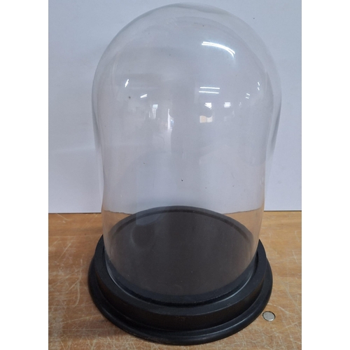 Antique glass dome on wood base, approx 37cm tall
