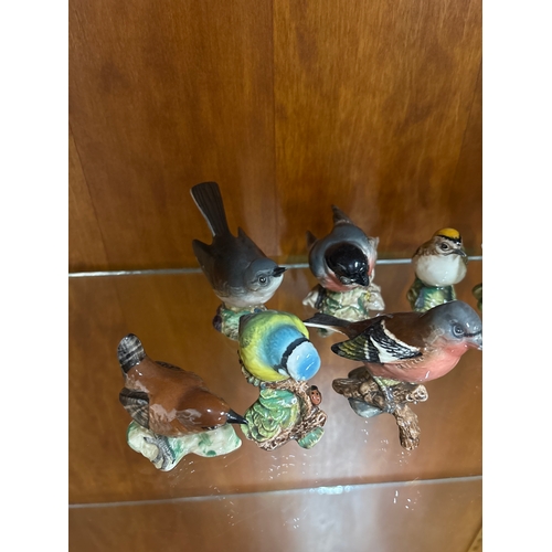 10 Birds mainly Beswick including Beswick Wren and Blue tit