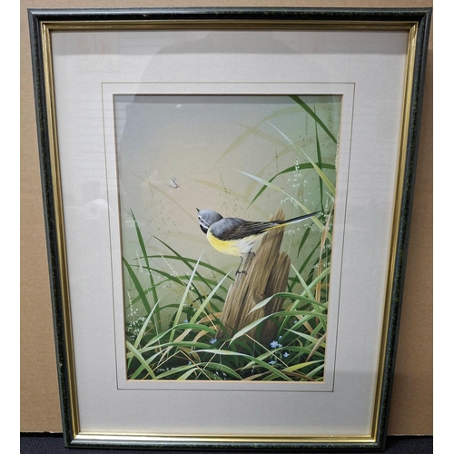 John R Morris (20th-21stC) watercolour "Yellow Wagtail watching a ...