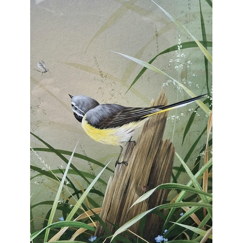 John R Morris (20th-21stC) watercolour "Yellow Wagtail watching a ...