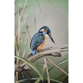 John R Morris (20th-21stC) watercolour "Kingfisher at rest", framed and ...