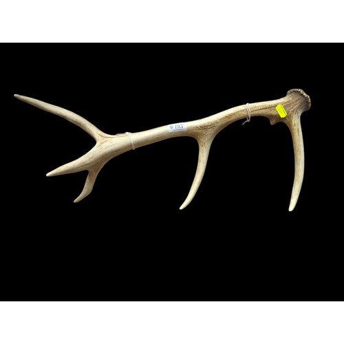 Drake's Auctions: Online Bidding