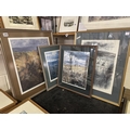 X4 MEG STEVENS PRINTS