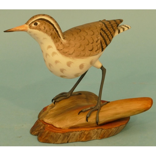 A Wedgwood Limited Edition Figure of a bird "Canadian Spotted Sandpiper ...