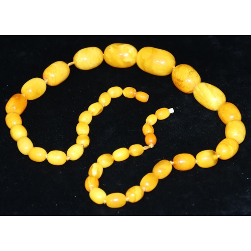 A large Amber graduated bead necklace, 79cm long, 96 grams, largest ...