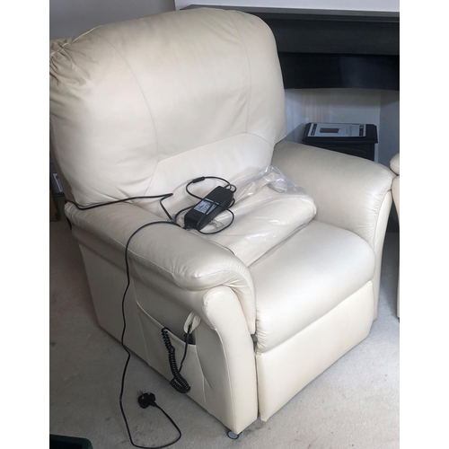 A good quality birch ivory leather Oaktree mobility chair from The Rise ...