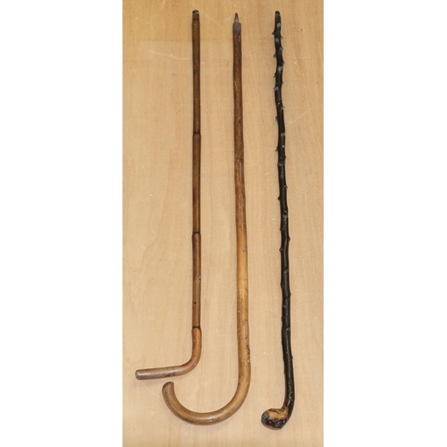 An Austrian walking stick engraved "Grindelwald" and 2 other wooden ...