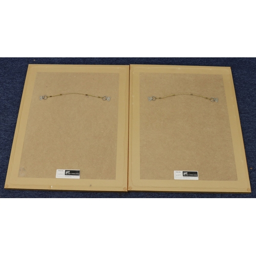 A pair of Gordon King limited edition prints, 41 x 28cm, in matching ...
