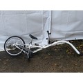 A Trek Tagalong Bike
