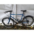 Dawes Oxygen mountain bike