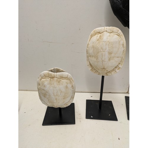 A trio of imitation tortoise shells