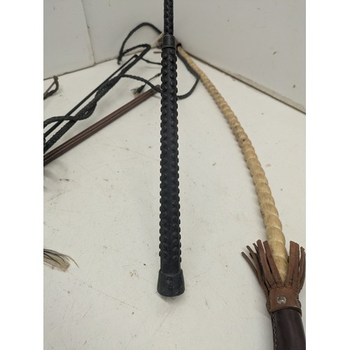A selection of riding crops