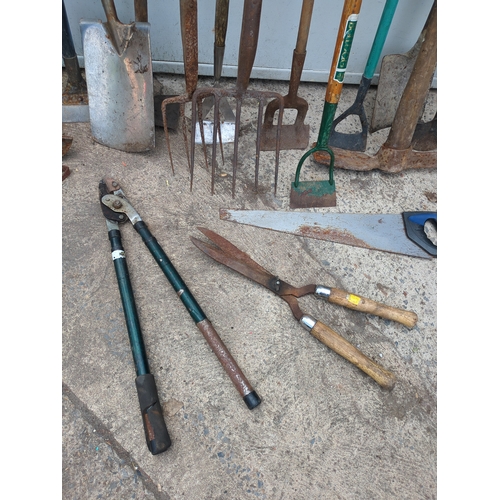 Assorted Garden Tools Set