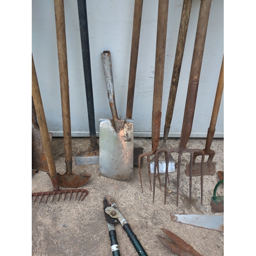 Assorted Garden Tools Set