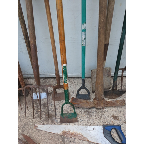 Assorted Garden Tools Set