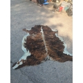 Tri-Color Cow Hide Rug 190cm x 190cm