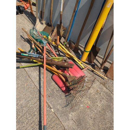 Assorted Garden Tools Collection