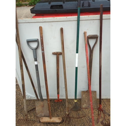 Assorted Garden Tools Set