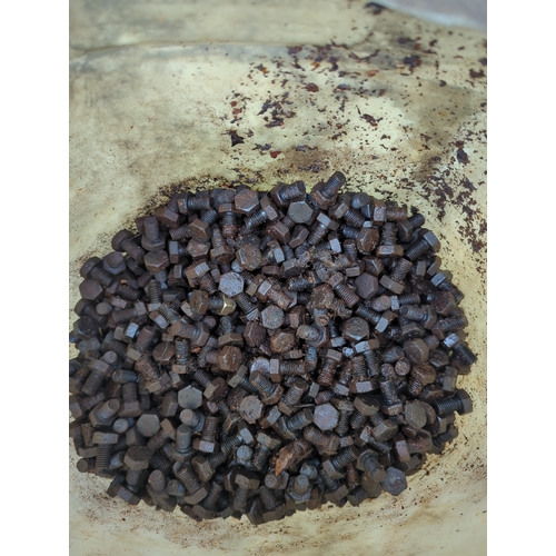 Bulk Rusty Hex Bolts in Container