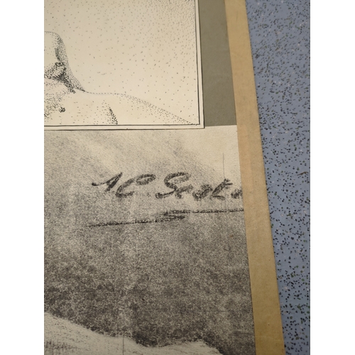"The Figure in Repose" Print with Certificate