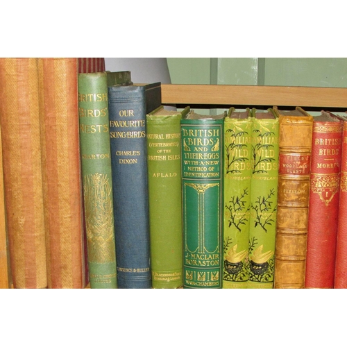 A good collection of natural history / bird books to include 8 vols of ...