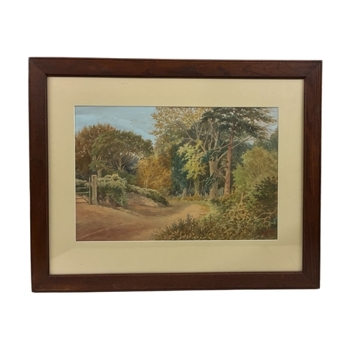 H. Jefferies (19th-20th century) - Track through the woods, watercolour ...