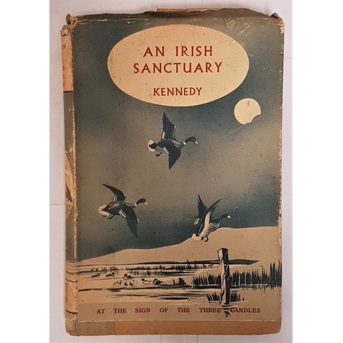 An Irish Sanctuary - Birds of the North Bull. Kennedy, P.G.: Published ...