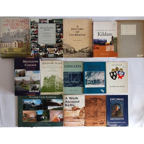 Kildare: Kildare Place- The history of the Church of Ireland Training ...