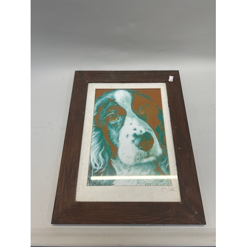 Drawing of a Springer Spaniel dog