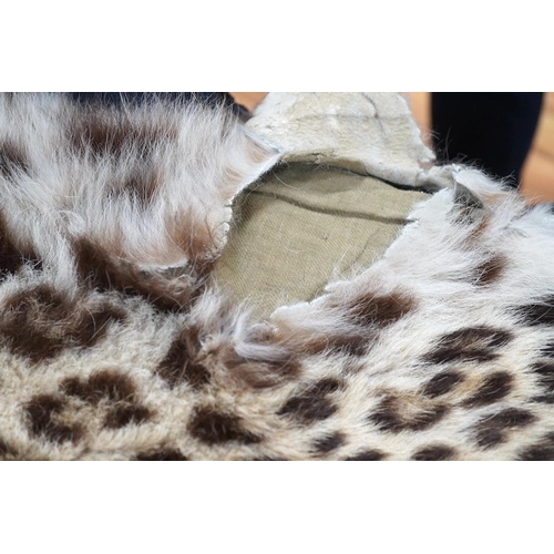 An early 20th century leopard skin rug with taxidermy head by van Ingen ...