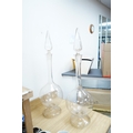 A pair of large clear glass chemist window display bottles and stoppers ...