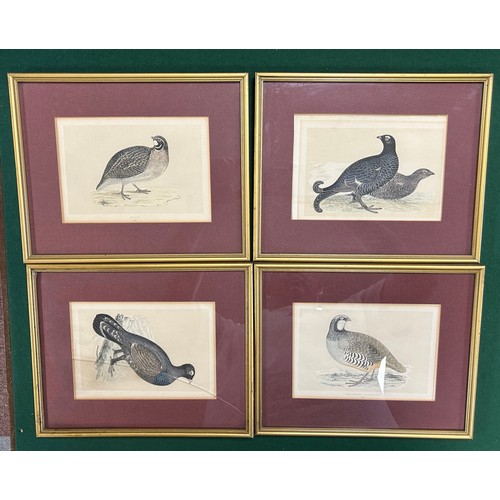 A group of seven framed game bird prints