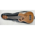 Cased Neewer NW-1 Matte Finished concert Ukulele: