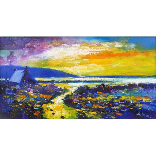 Original Jon Lowrie Morrison JoLoMo framed oil painting Sunset - Mull ...