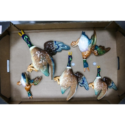 A set of three Falcon ware flying mallard duck wall plaques together ...