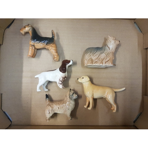 A collection of Beswick small dog figures Cairn Terrier, Cocker Spaniel ...