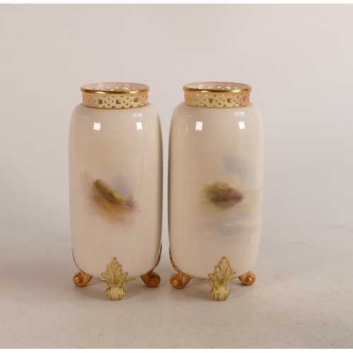 A pair of Royal Worcester Highland cattle vases, cylindrical form with ...