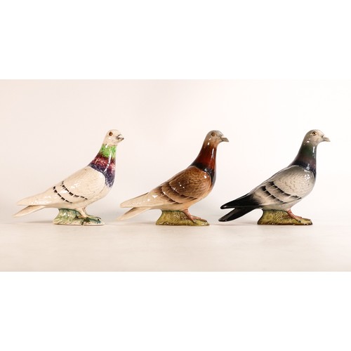 Beswick collection of Pigeons, model 1383 in grey, red and an unusual ...