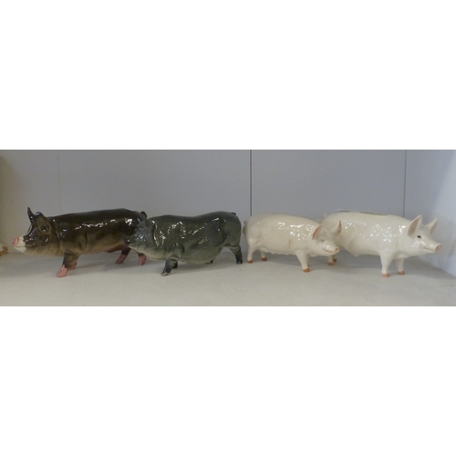 Three Beswick pig figurines Ch.Wallboy 53 Ch. Wallqueen 40, Berkshire ...