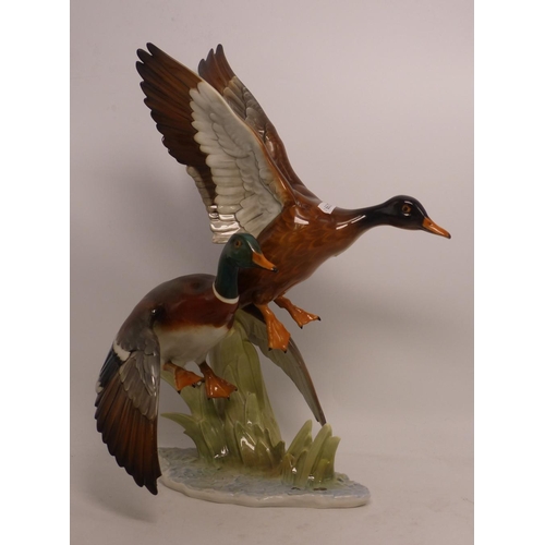 German Hutschenreuther porcelain figure of flying mallard ducks ...