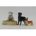 Beswick Dogs to include:- Gloss Rottweiler, Corgi together with a ...
