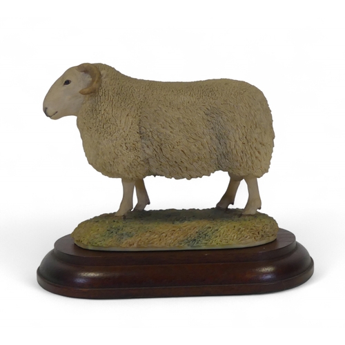 Border Fine Arts Cheviot, model no.L39 by Ray Ayres, limited edition no ...