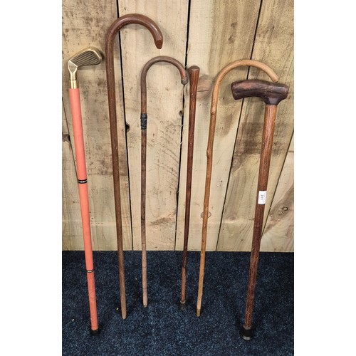 A collection of vintage walking canes; Golfing putter walking stick ...
