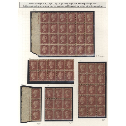 AIRGRAPH MAIL 1940-45 fantastic collection/accumulation in a box, incl ...