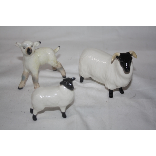3 Beswick Sheep tallest 3 1/4"